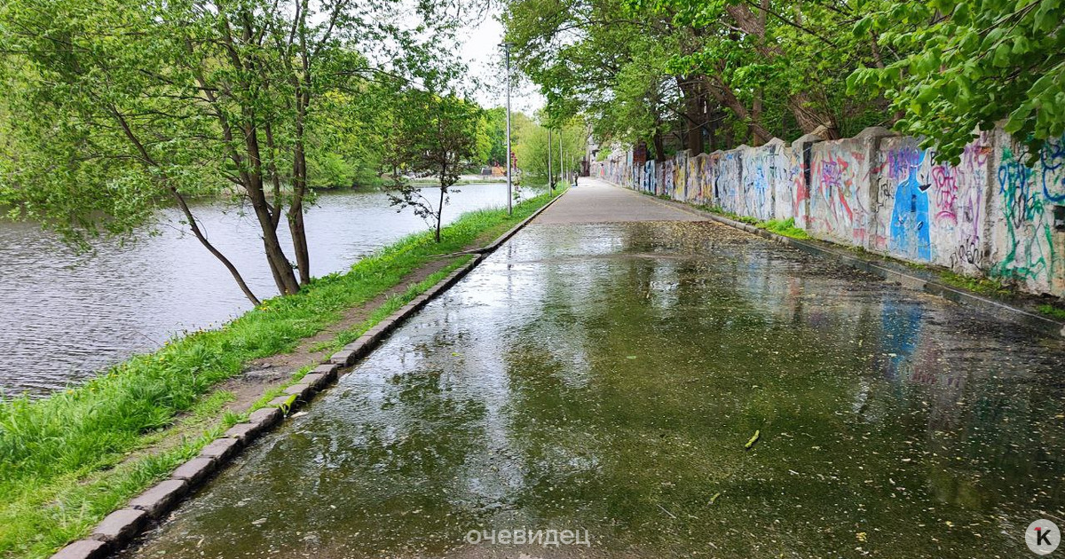Разруха, вонь и плесень: тротуар возле Нижнего озера заболотили ...